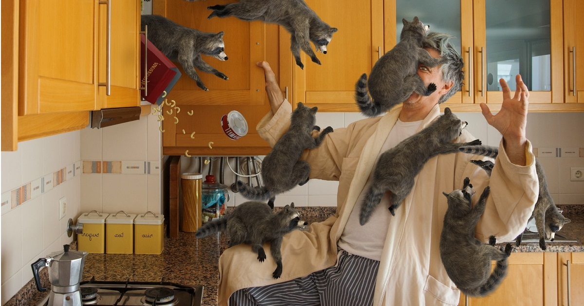 What are the three stages of fight-or-flight?