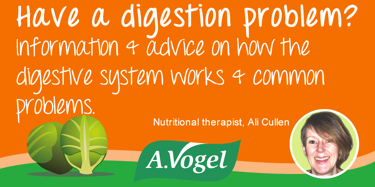 Digestive System | how it works & digestive problems
