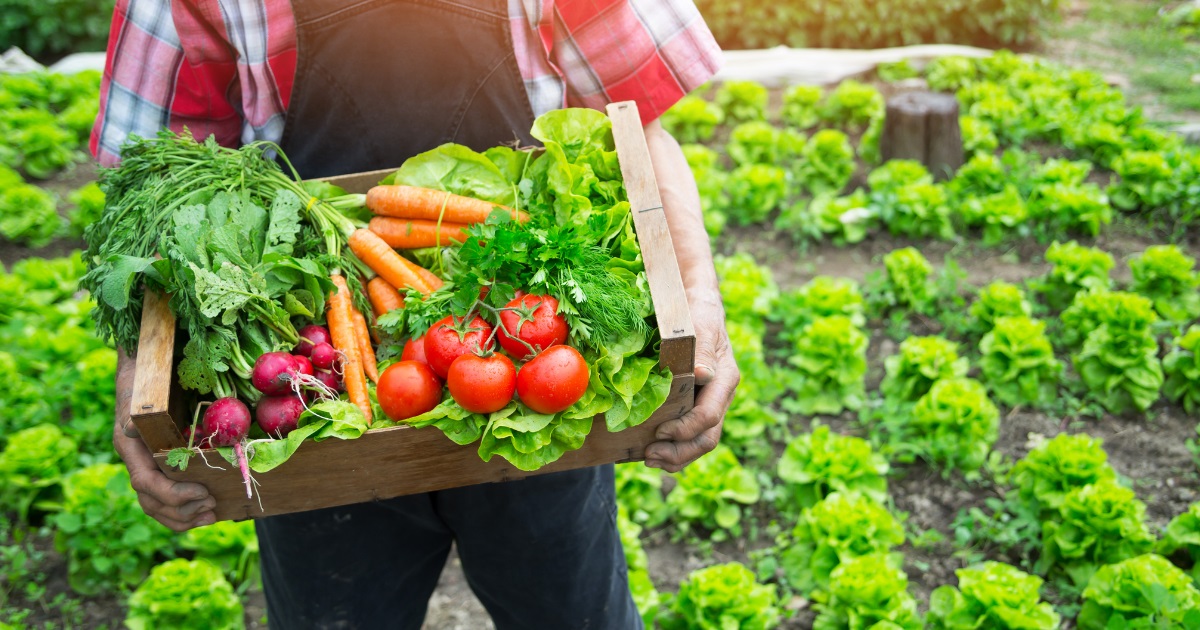 Go organic this summer!