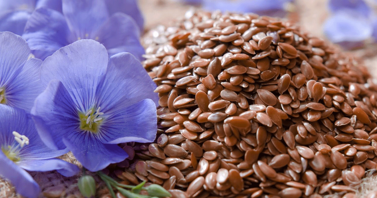 Linseeds nutritional info, health benefits, recipes & more