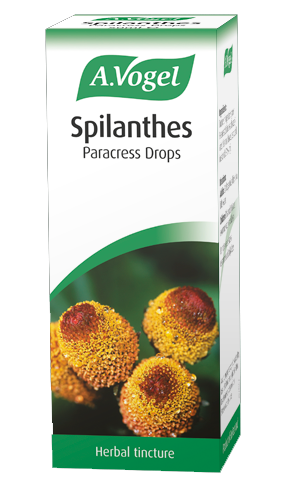 10 natural remedies for fungal skin infections