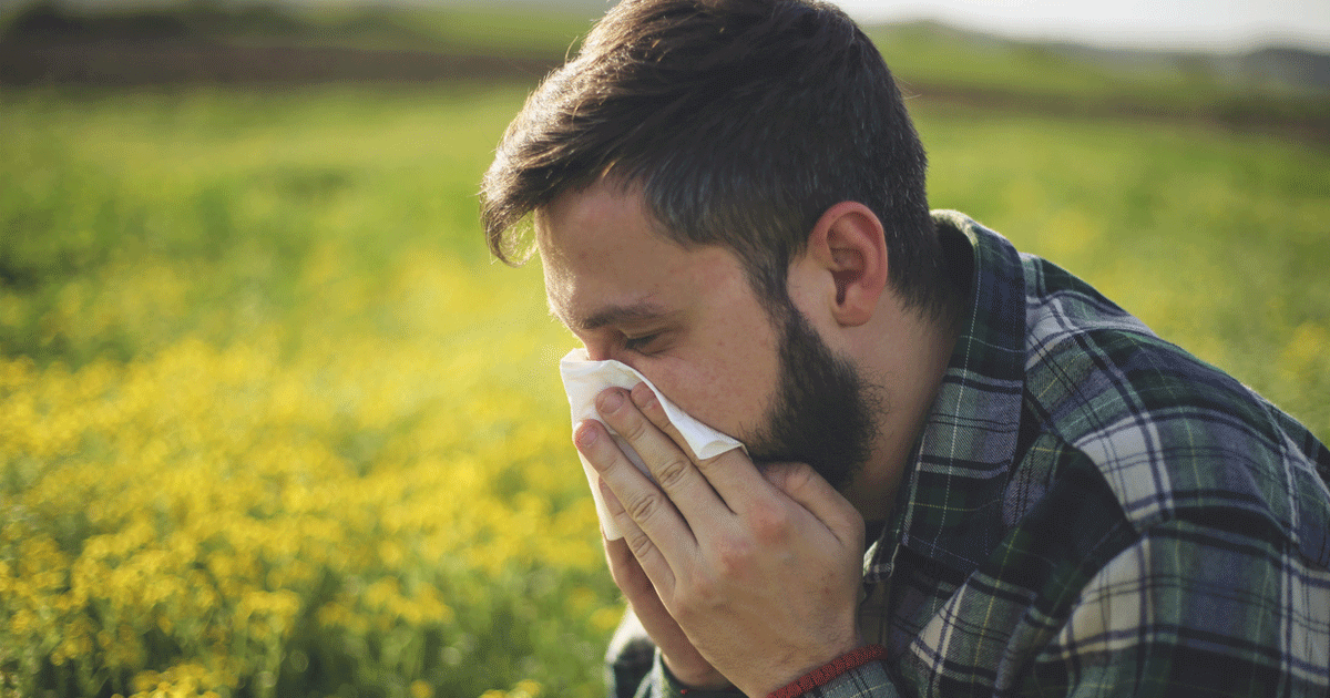Keep hayfever in check with Pollinosan