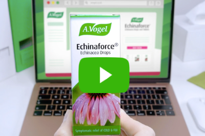 Echinaforce® | Echinacea drops for cold and flu relief