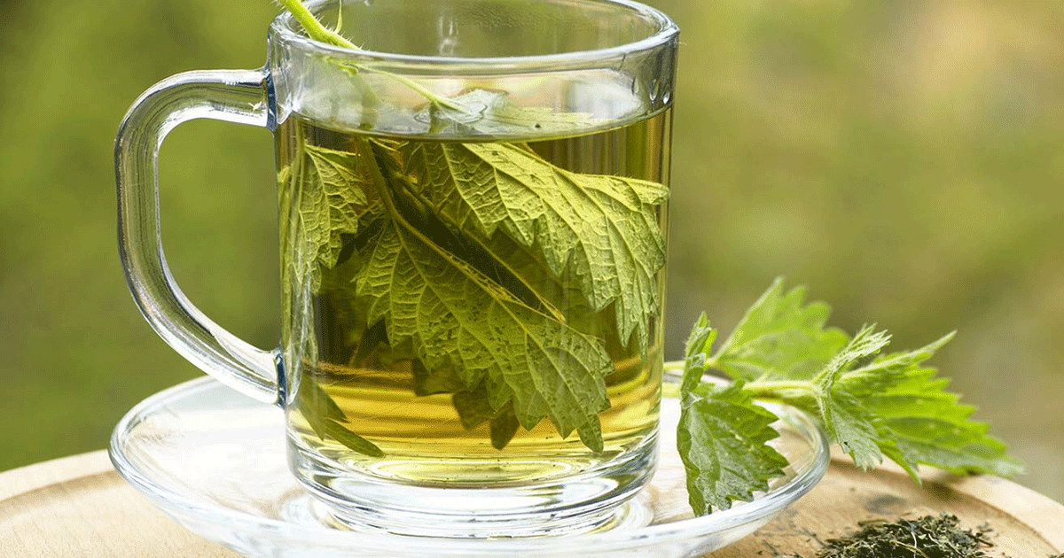 How to use nettle for hayfever.