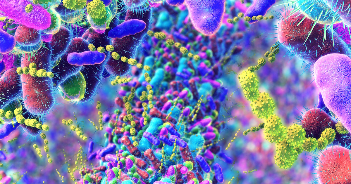 The science of gut health and why it matters