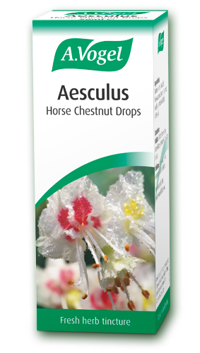 Aesculus from A.Vogel – tincture of fresh Aesculus hippocastanum (Horse ...