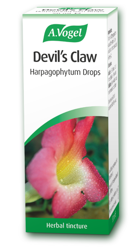 Devil's Claw tincture by A.Vogel - from Devil's Claw (Harpagophytum ...