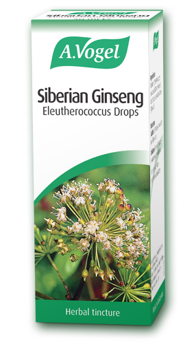 Eleutherococcus from A.Vogel – extract of Siberian Ginseng (Eleutherococcus senticosus) root