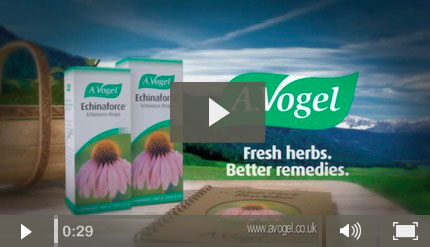 Echinacforce® | Echinacea drops and tablets for cold and flu relief