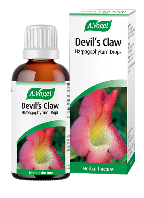 Devil's Claw tincture by A.Vogel - from Devil's Claw (Harpagophytum ...