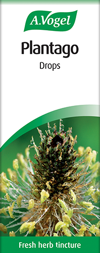 Plantago from A. Vogel - extract of Plantago lanceolata hern